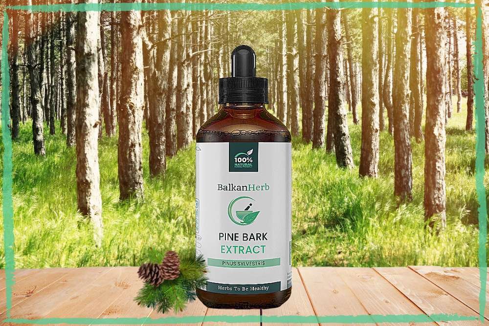 7 Science-Backed Benefits of Pine Bark Extract - Herbal Extract